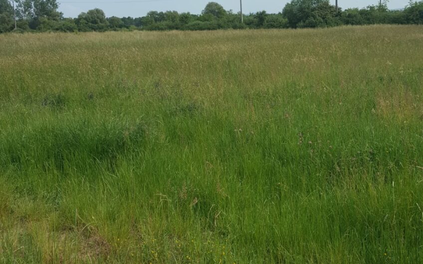 Teren Sasar Strada Primaverii - Smart Credit Imobiliare